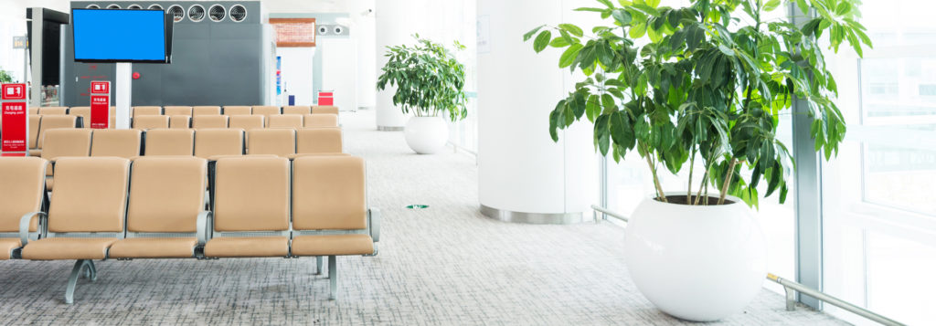 Gamlaa - Embrace the Green Work Culture!