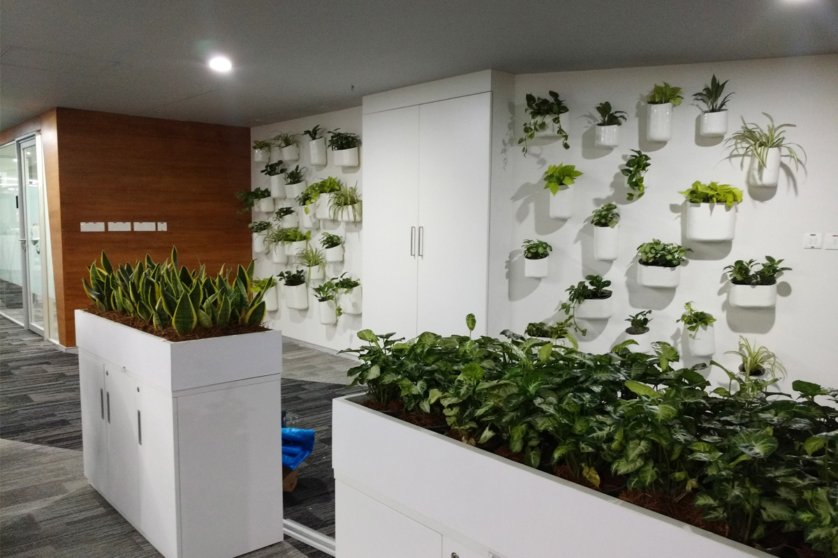 urban_garden_by_gamlaa. - Gamlaa